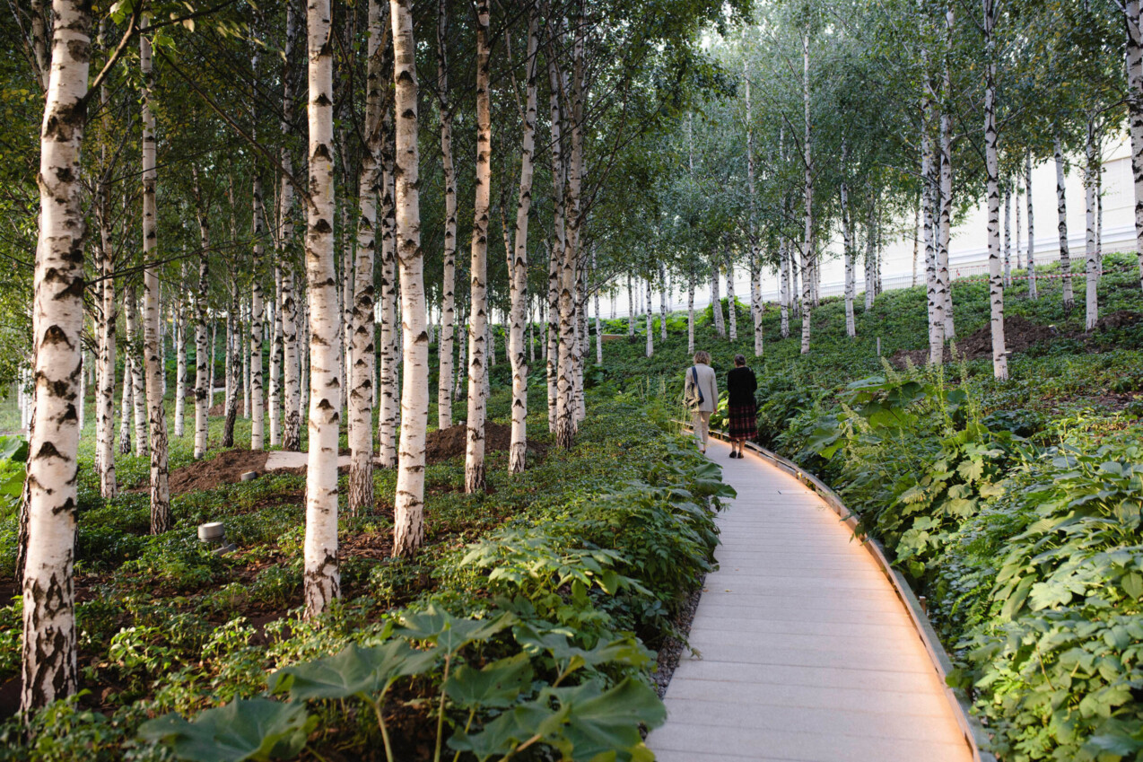 Birch Grove | GES–2